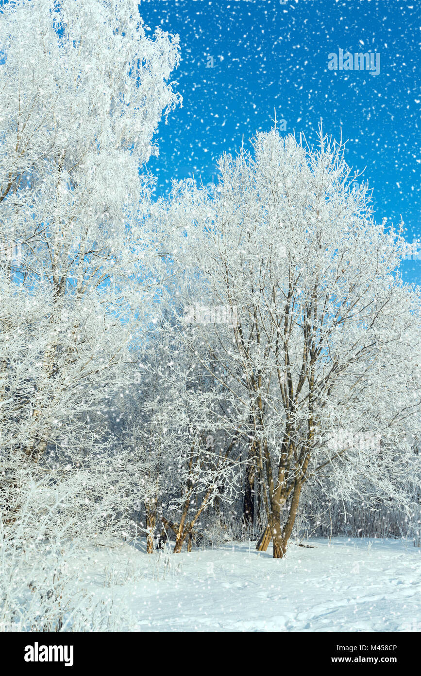 Nature cold day ice park snow sunny winter hi-res stock photography and ...