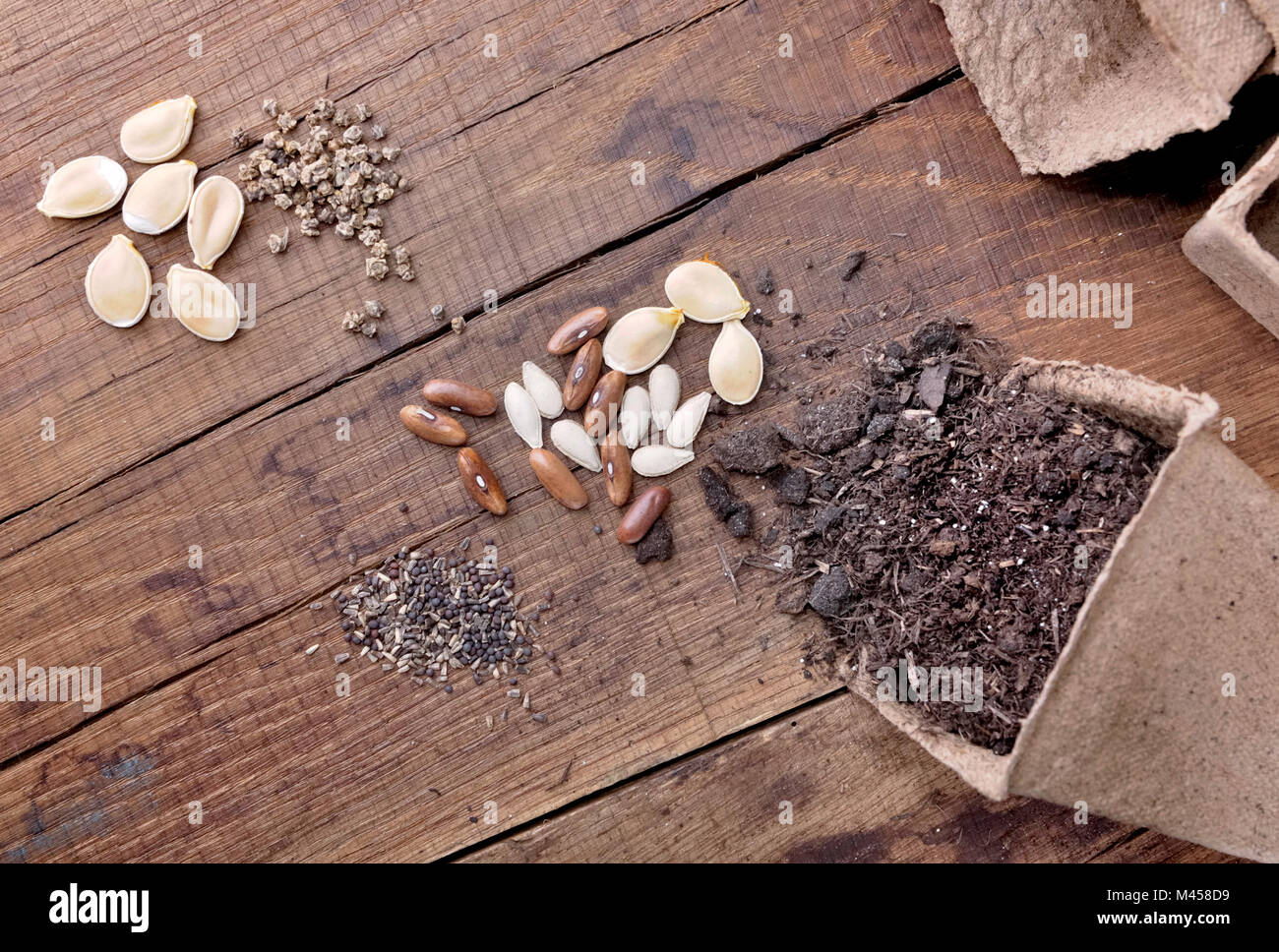different vegetable seeds with a bucket of spilled soil on wooden ...