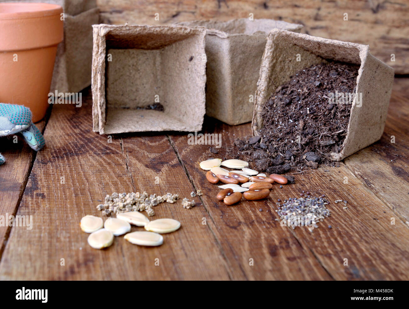 different vegetable seeds with a bucket of spilled soil on wooden ...