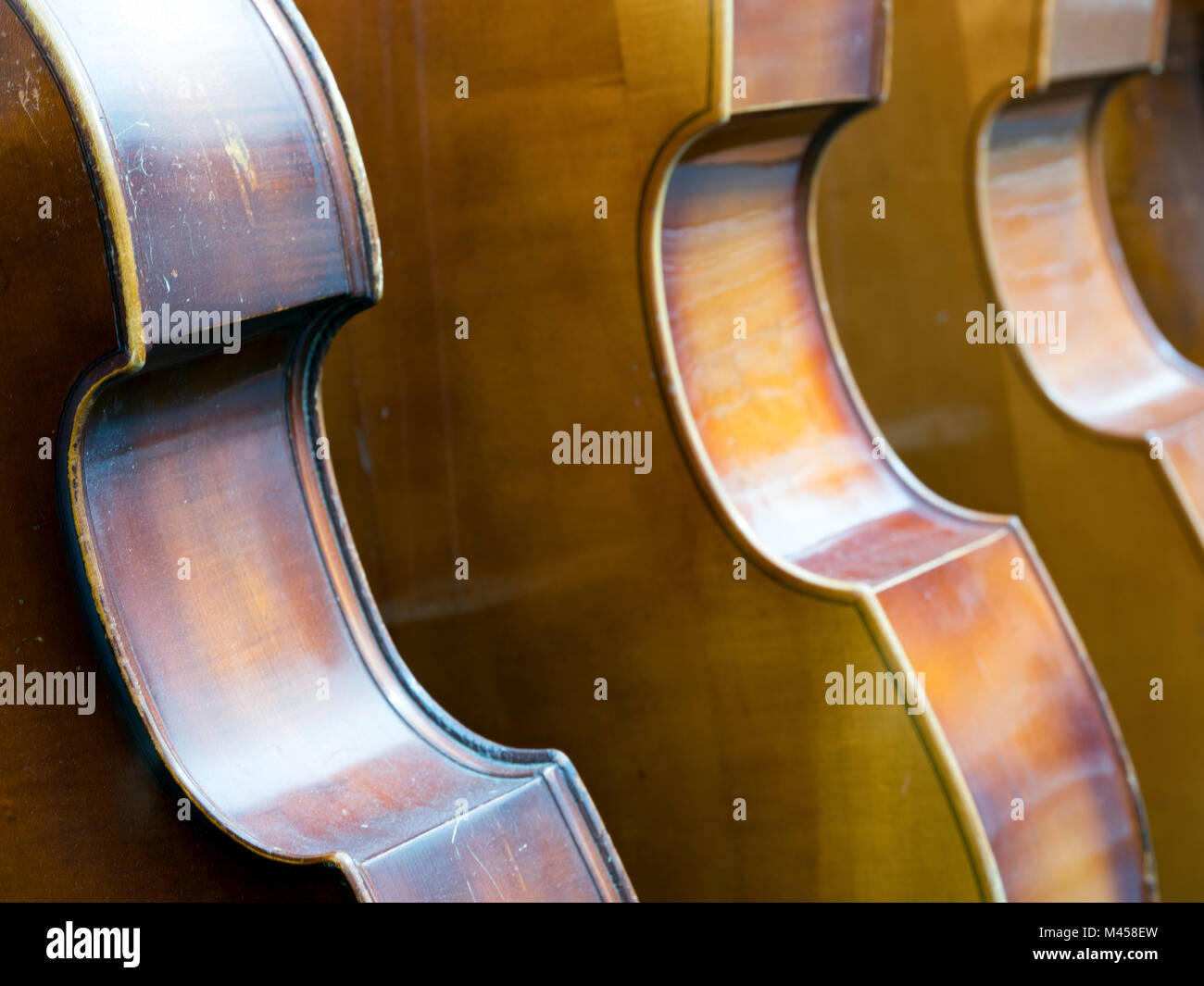 closeup of row of double basses resting against a wall Stock Photo - Alamy