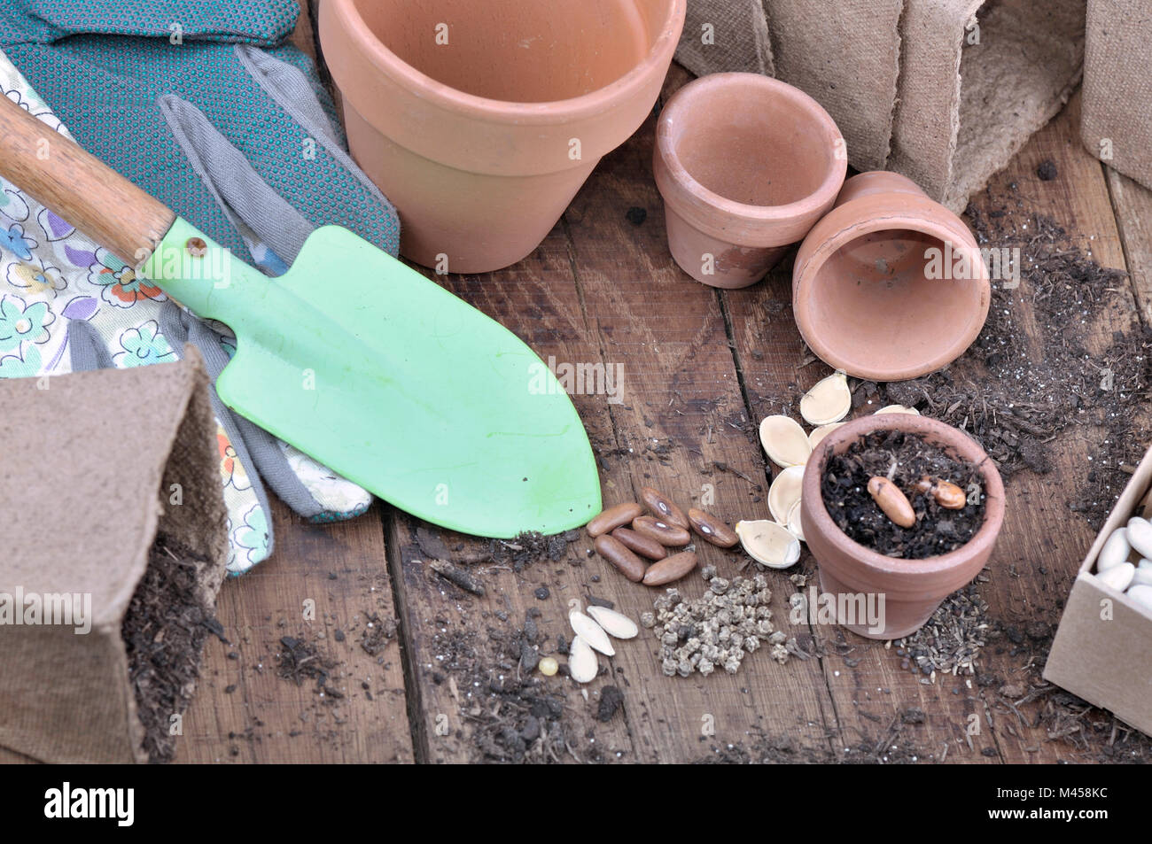 different seeds with peat bucket and shovel for seedling on wooden ...