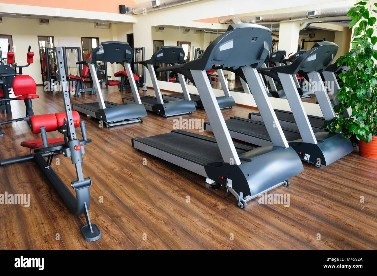 Treadmills workout hi-res stock photography and images - Alamy