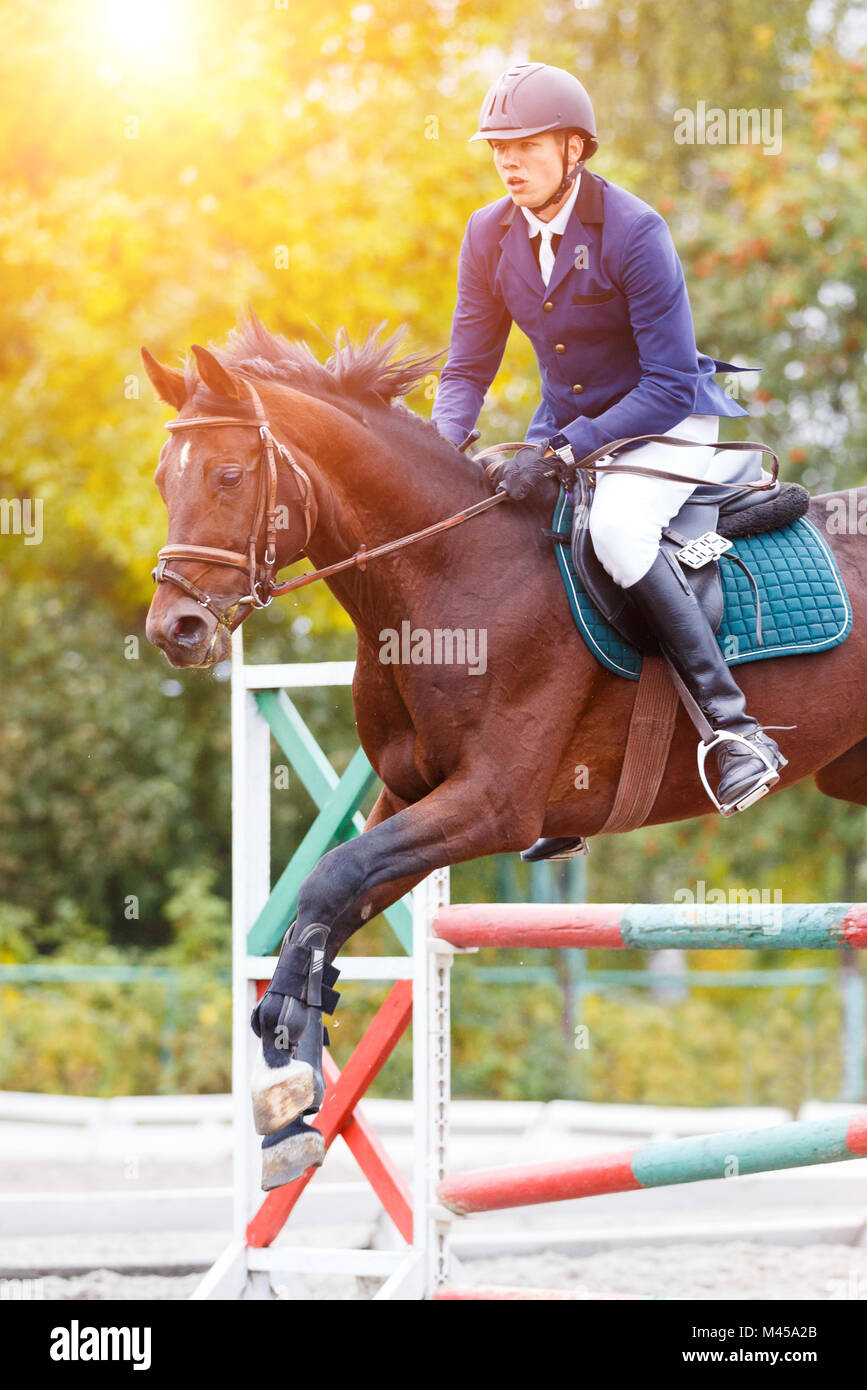 Young rider man on bay horse jumping over hurdle on show jumping ...