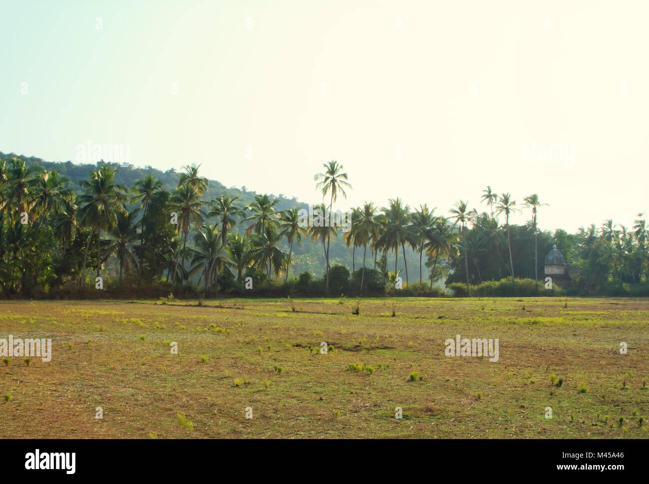 Panorama view of Goa nature in India Stock Photo - Alamy