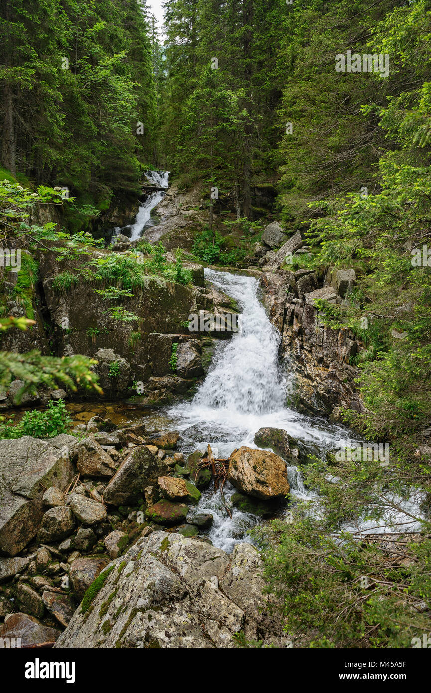 Beautiful waterfall in deep forest hi-res stock photography and images ...