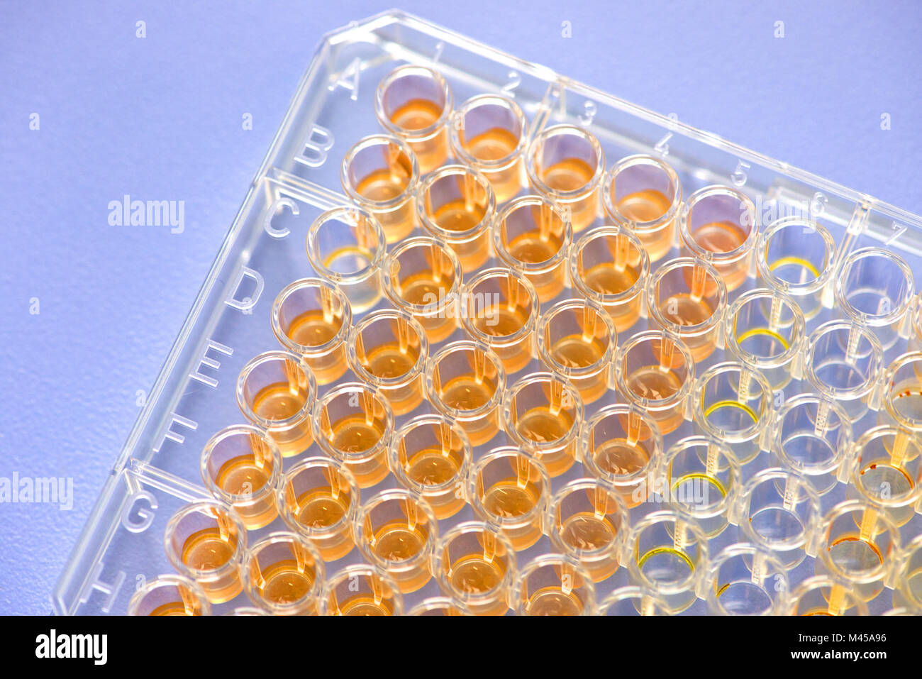 Biochemical test hi-res stock photography and images - Alamy