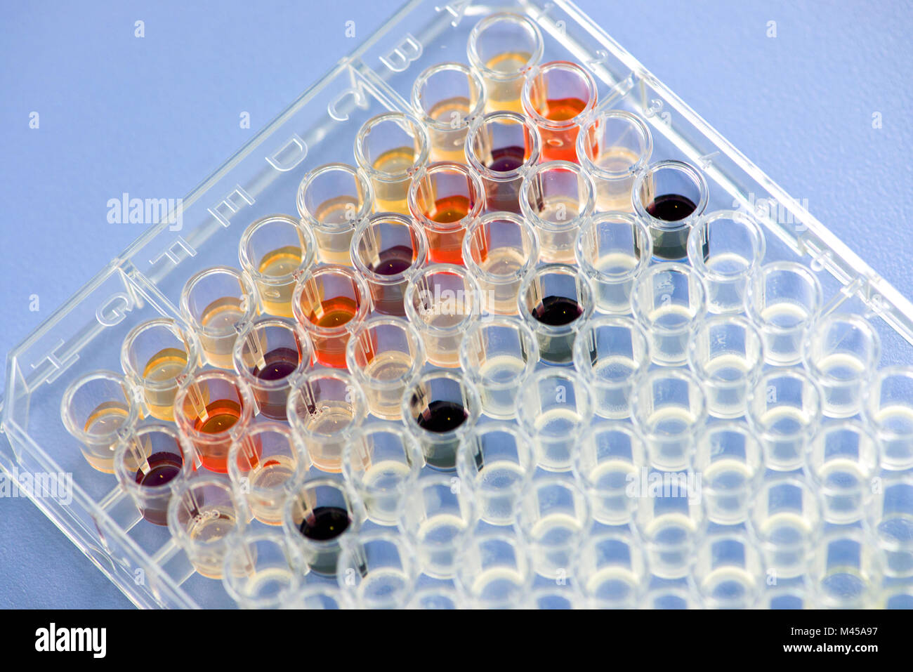 Microtiter plate hi-res stock photography and images - Alamy