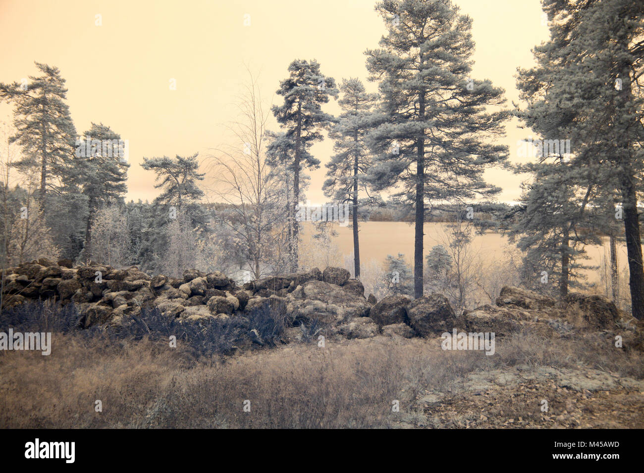 Digital fortification hi-res stock photography and images - Alamy