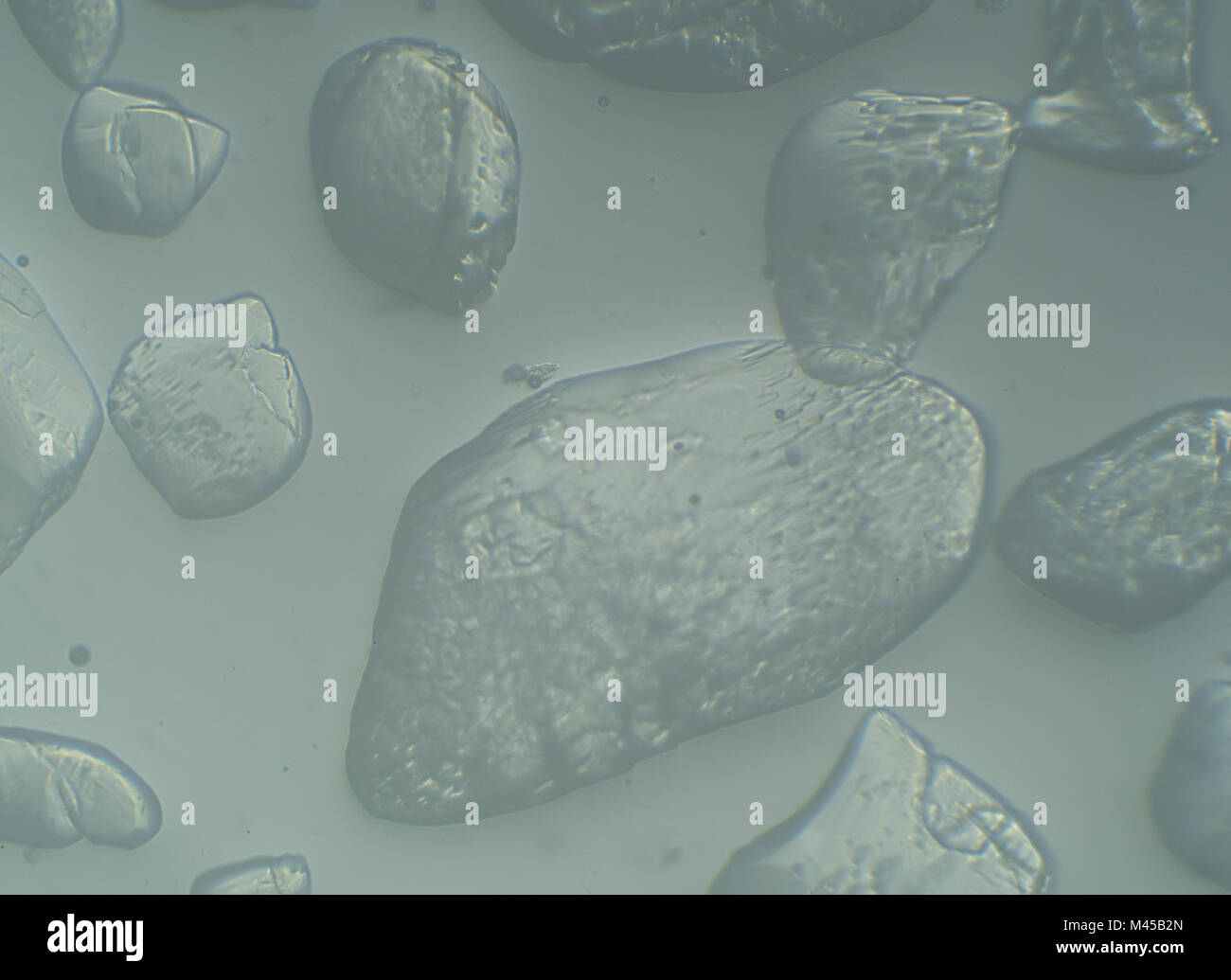 Sugar microscope hi-res stock photography and images - Alamy