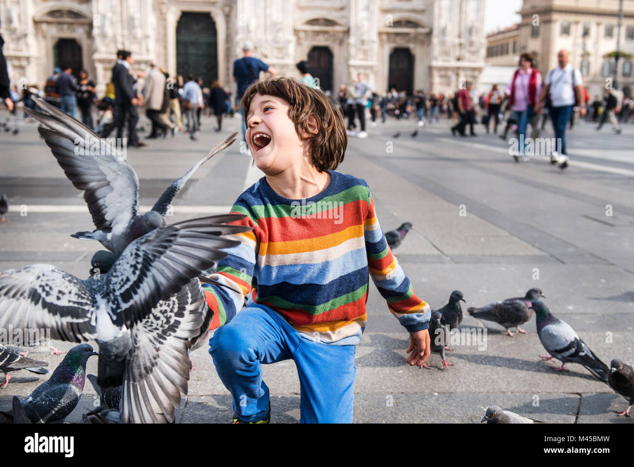 Pigeons square hi-res stock photography and images - Alamy