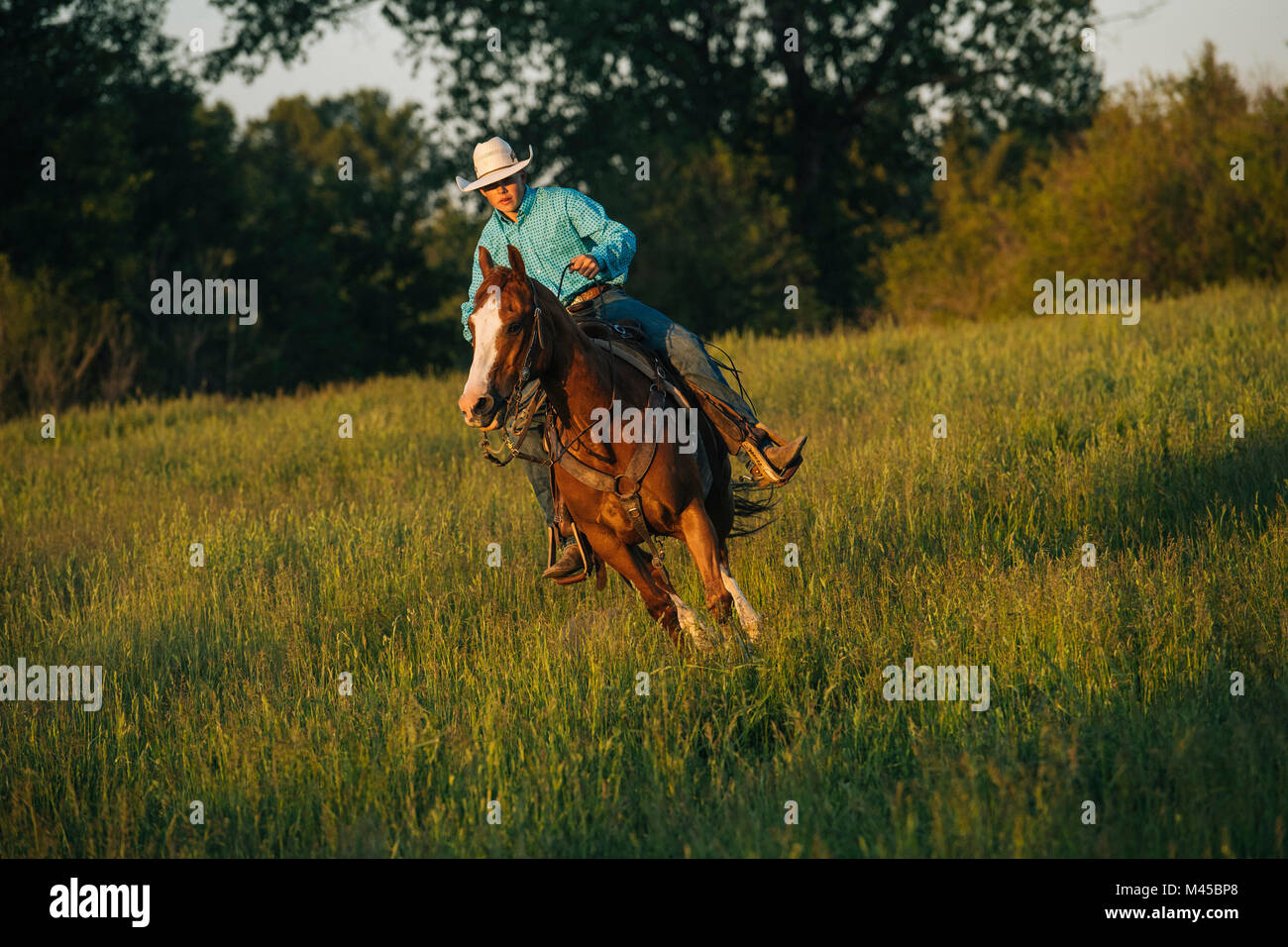 Riding horse casual boy hi-res stock photography and images - Alamy