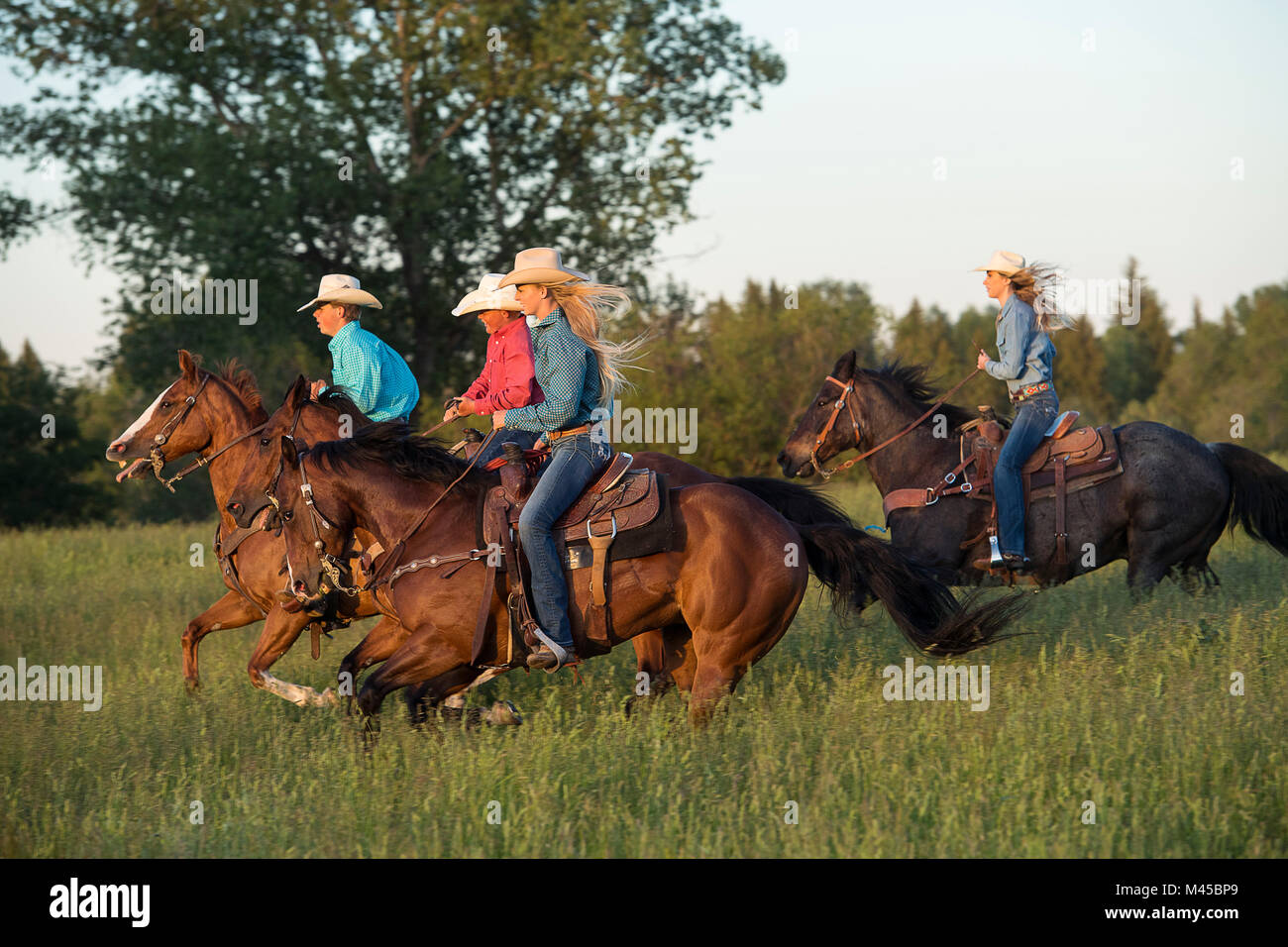 Group of people riding horses in field Stock Photo - Alamy