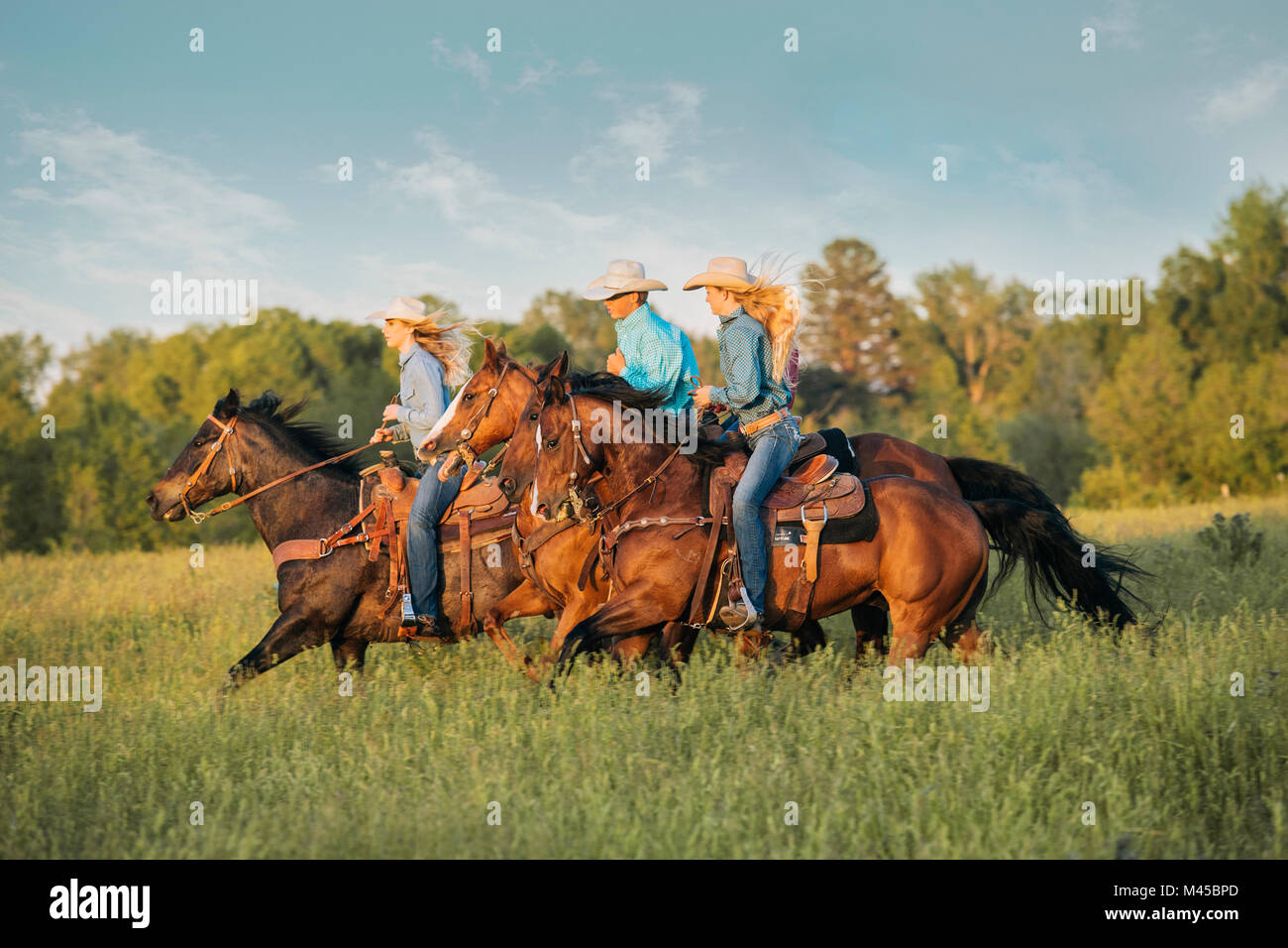 Group of people riding horses in field Stock Photo - Alamy