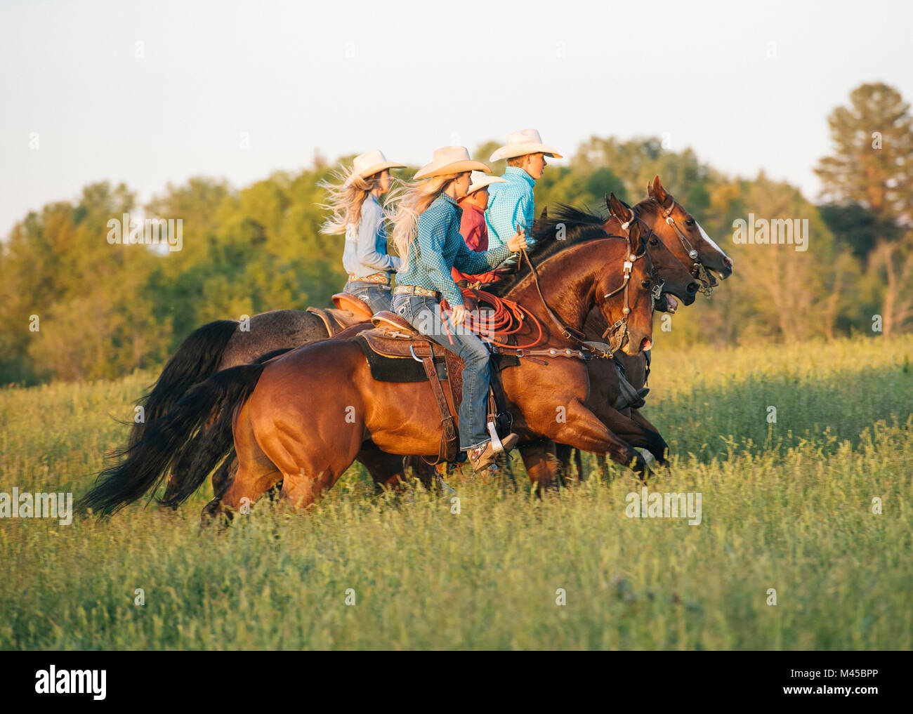 Group of people riding horses in field Stock Photo - Alamy