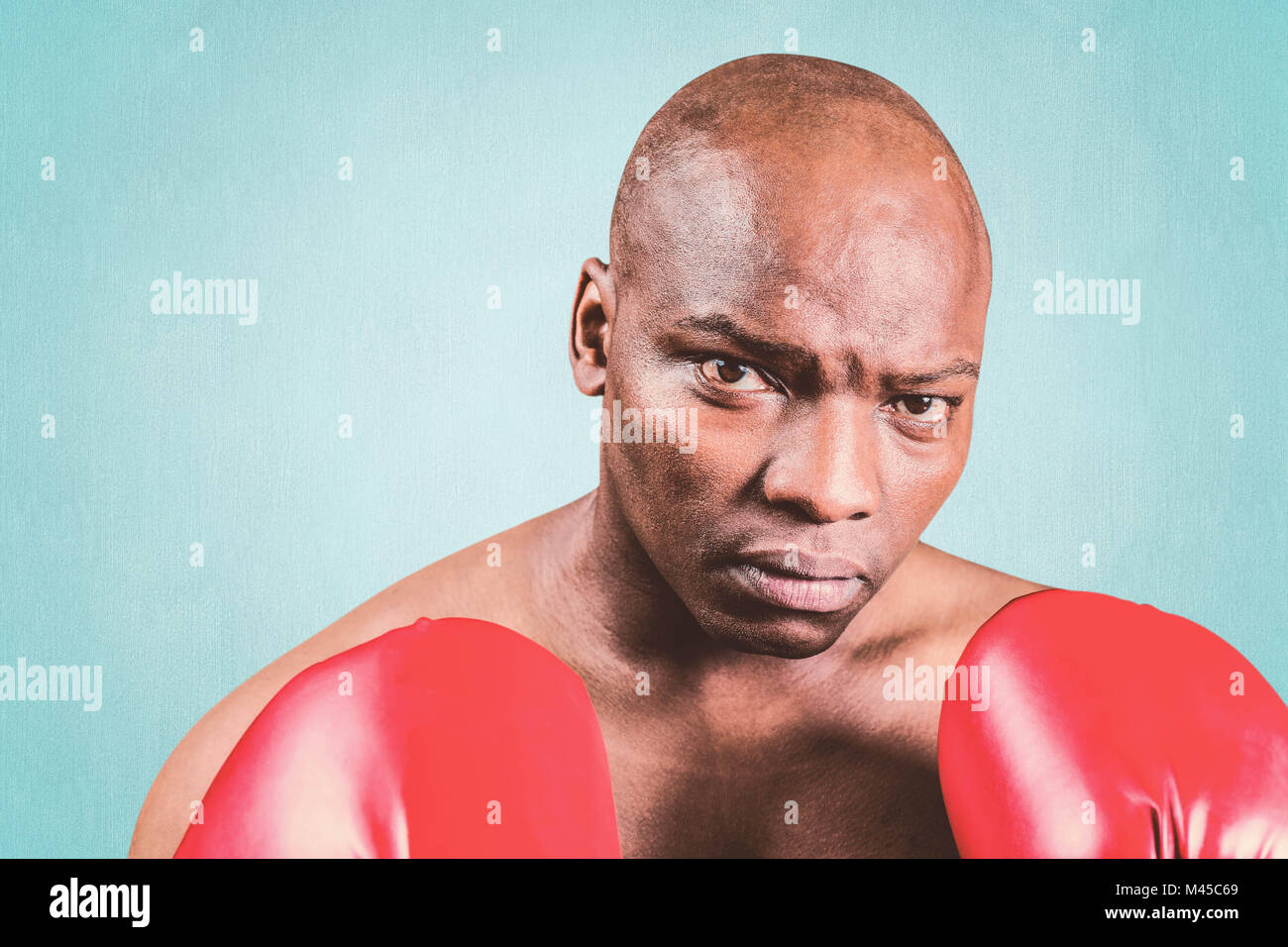 Composite image of portrait of bald boxer in gloves Stock Photo - Alamy