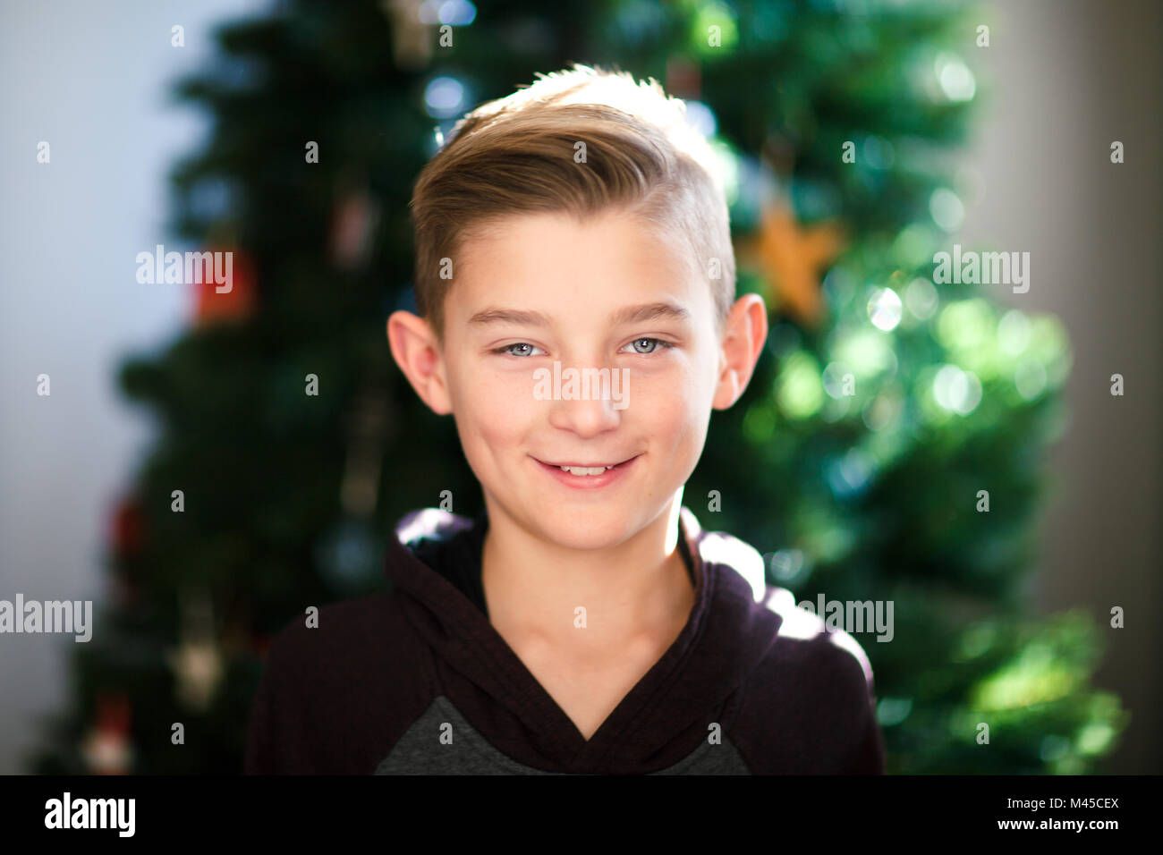 Portrait of boy, Christmas tree in background Stock Photo - Alamy