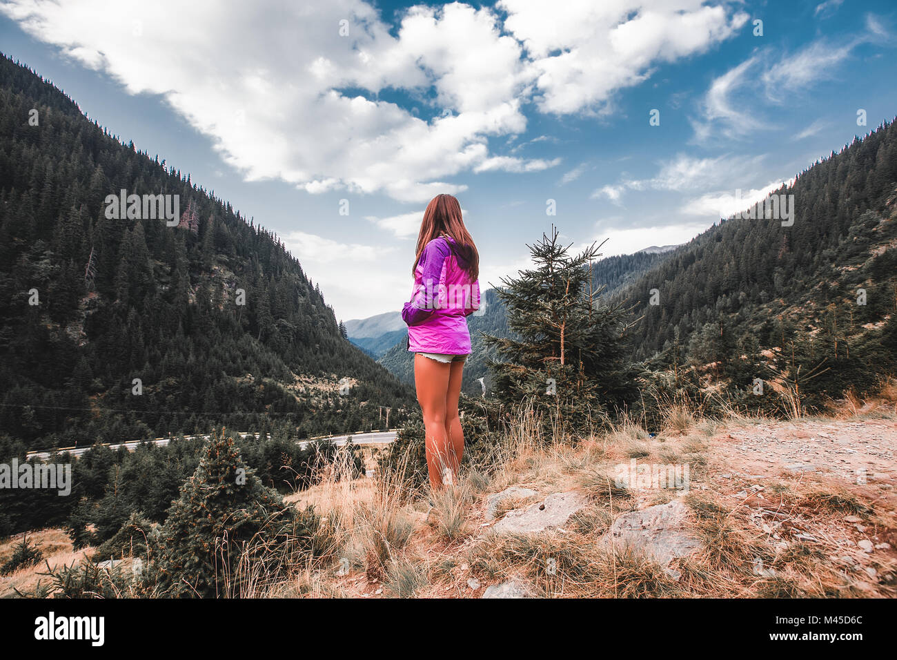 Valley forest hi-res stock photography and images - Alamy