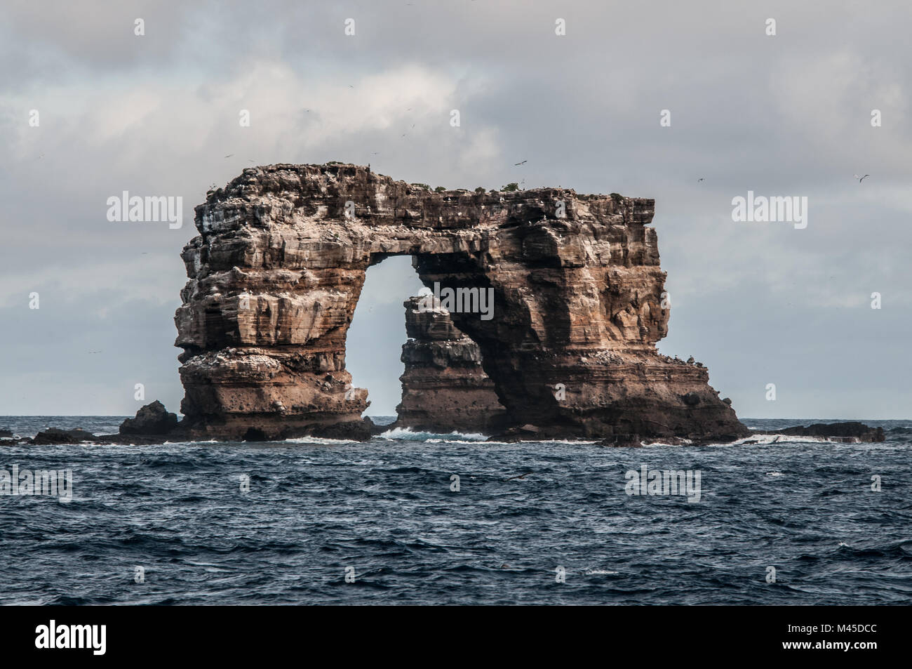 Darwin's arch, Darwin Island, Seymour, Galapagos, Ecuador, South ...