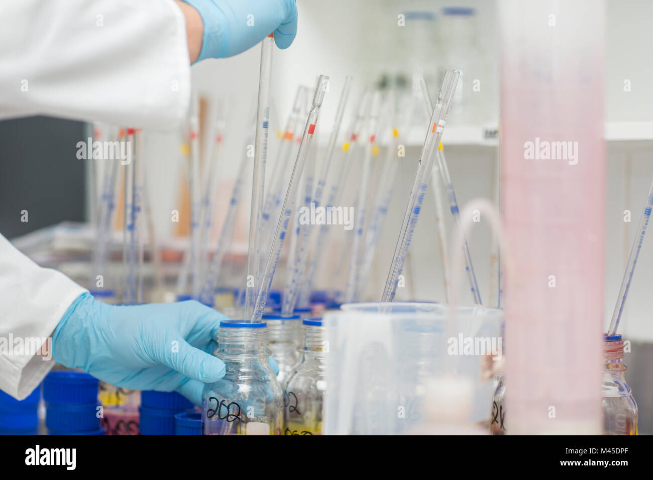 Lab worker taking dye from beaker using long pipette Stock Photo - Alamy