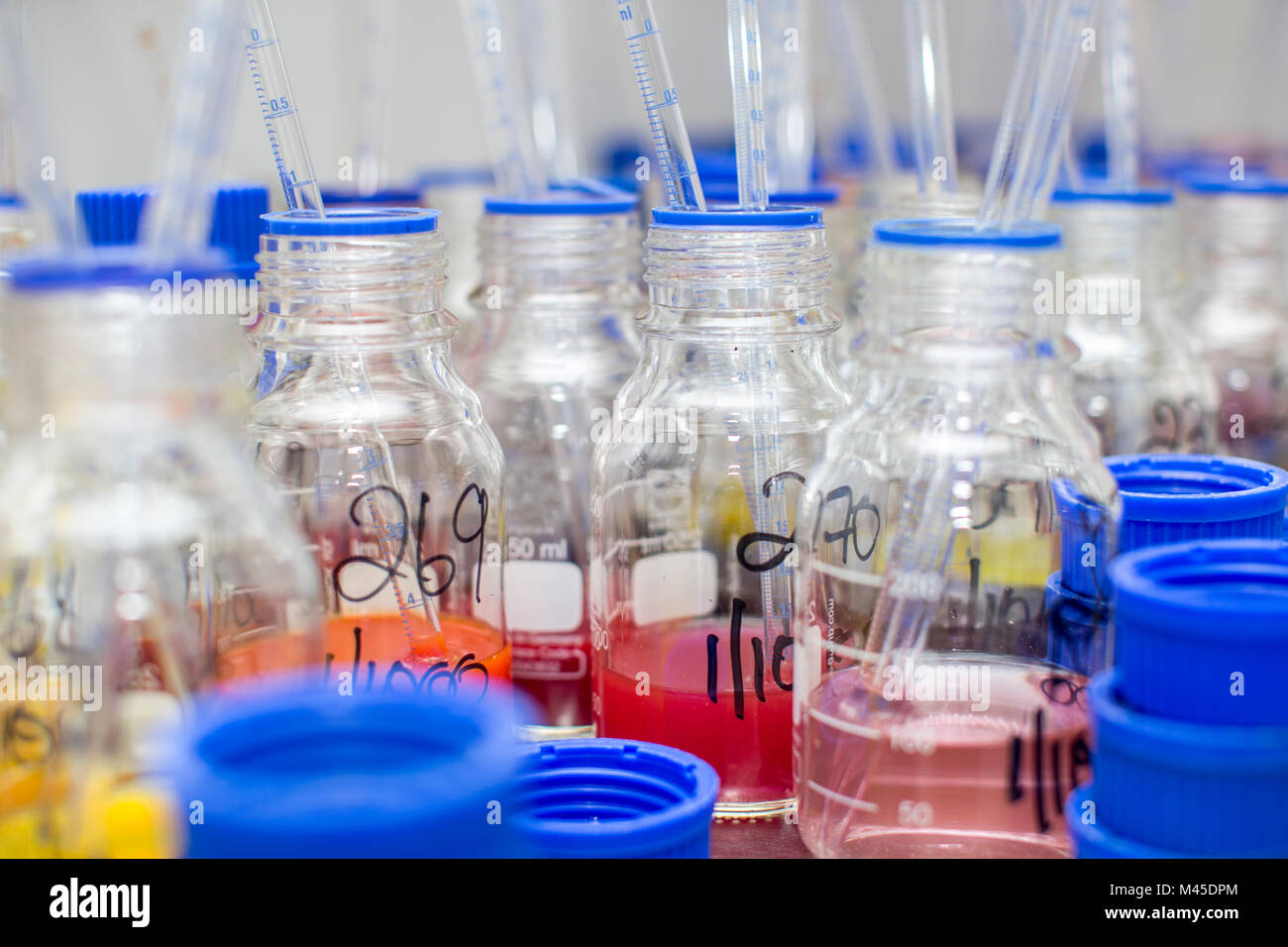 Lab pipettes hi-res stock photography and images - Alamy