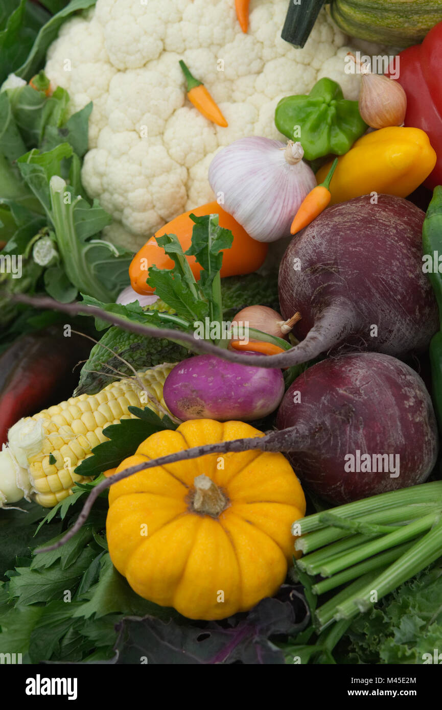 Traditional display of garlic hi-res stock photography and images - Alamy