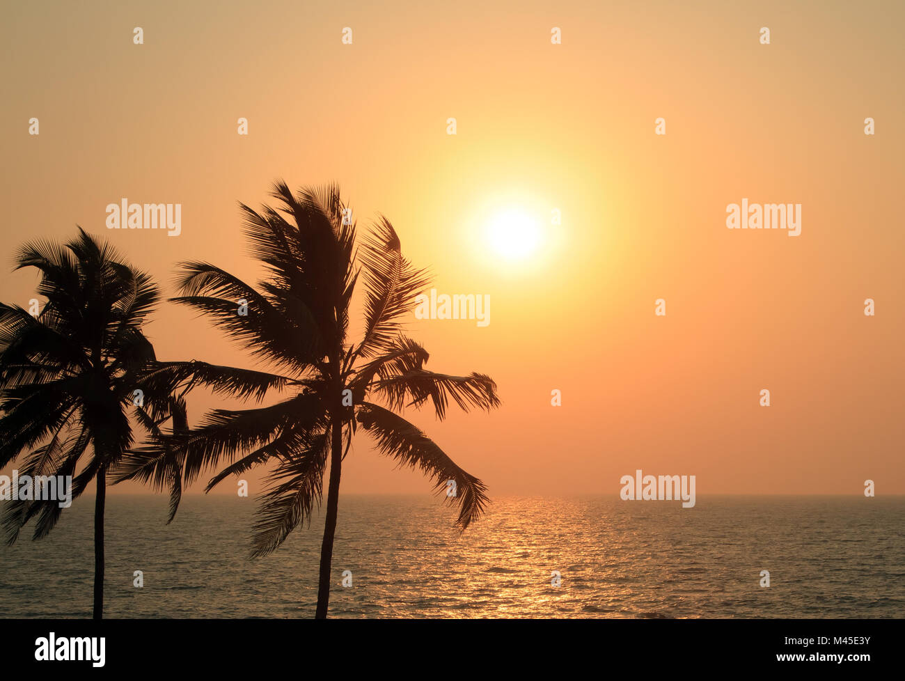 Palm Trees Silhouette At Sunset Stock Photo - Alamy