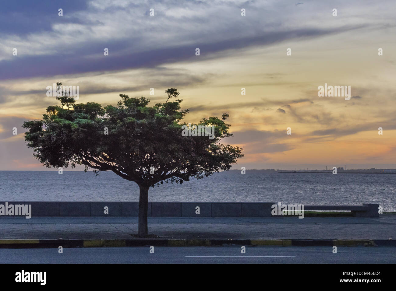 Sunset Scene at Boardwalk in Montevideo Uruguay Stock Photo - Alamy