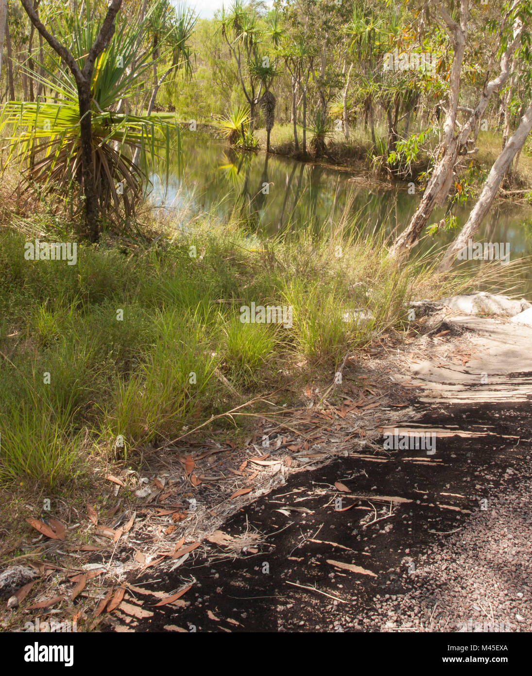 Outback landscape in the Northern Territory of australia Stock Photo ...