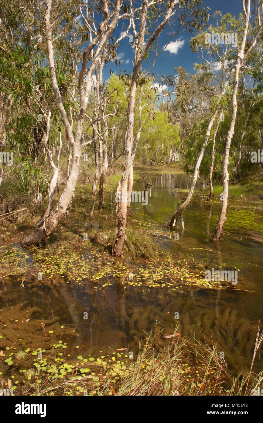 Outback landscape in the Northern Territory of australia Stock Photo ...