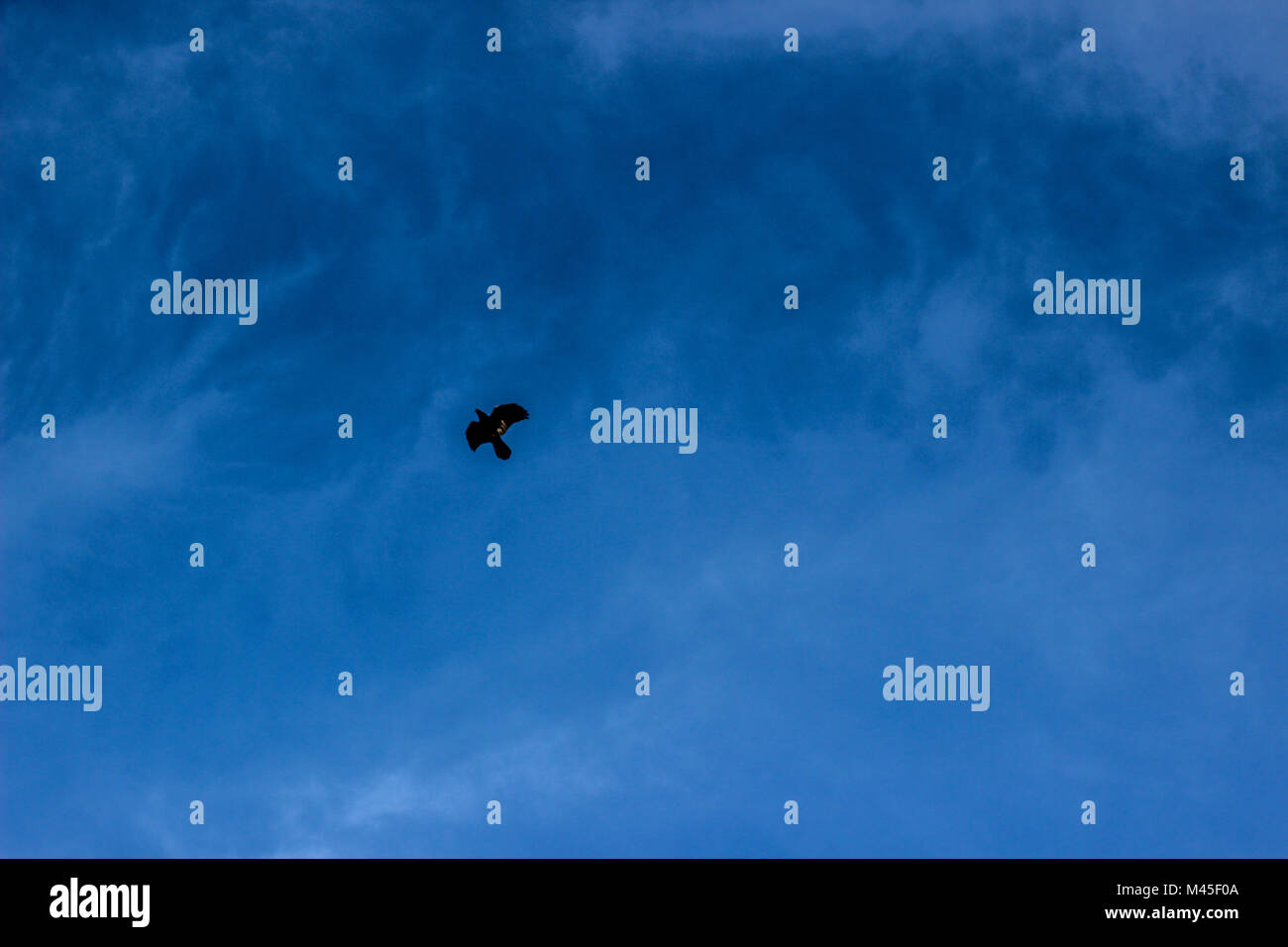 Flying dancing hi-res stock photography and images - Alamy