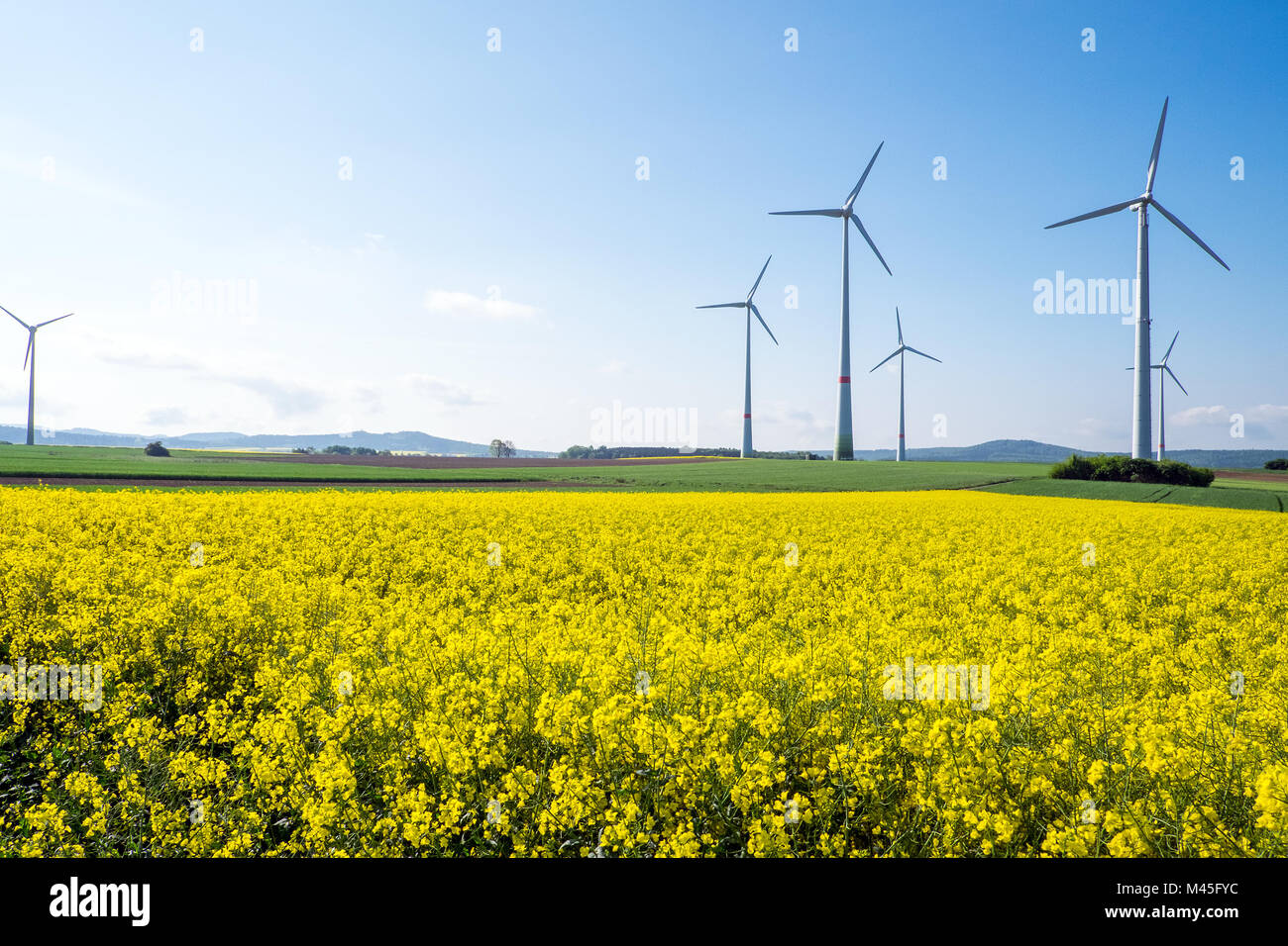 Rapeseed field germany hi-res stock photography and images - Alamy