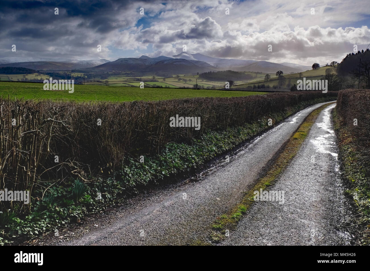A welsh country lane, in the Brecon Beacons Stock Photo - Alamy