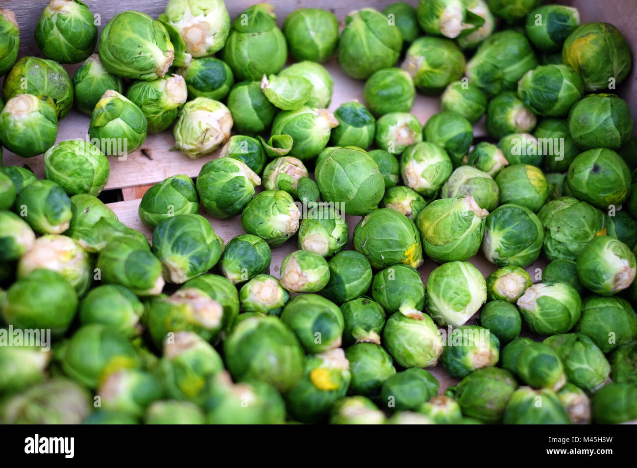 A box of sprouts for sale Stock Photo - Alamy