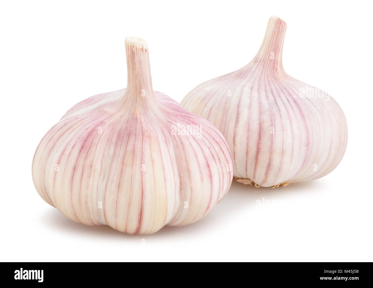 garlic path isolated Stock Photo - Alamy