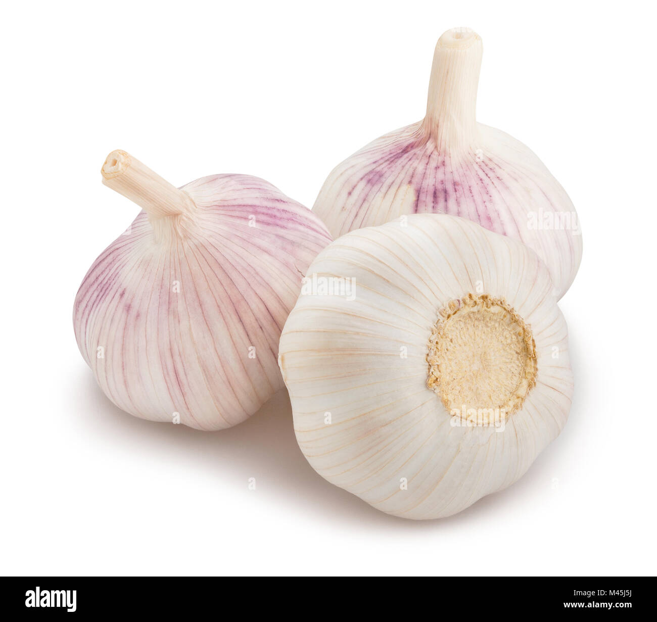 garlic path isolated Stock Photo - Alamy