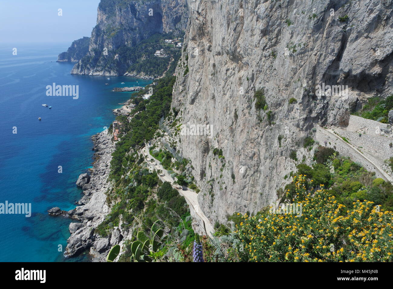 Cliffs of Capri Stock Photo - Alamy
