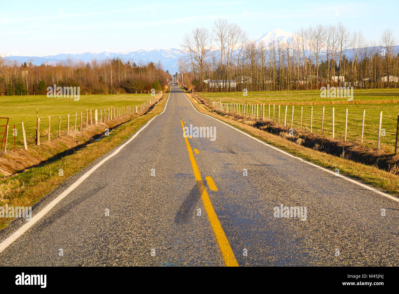A country road with skid marks. The road appears to go for a long, long ...