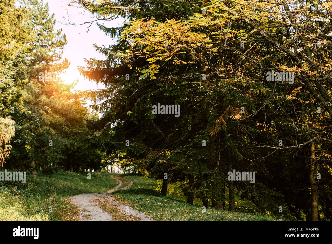 Very bright path hi-res stock photography and images - Alamy