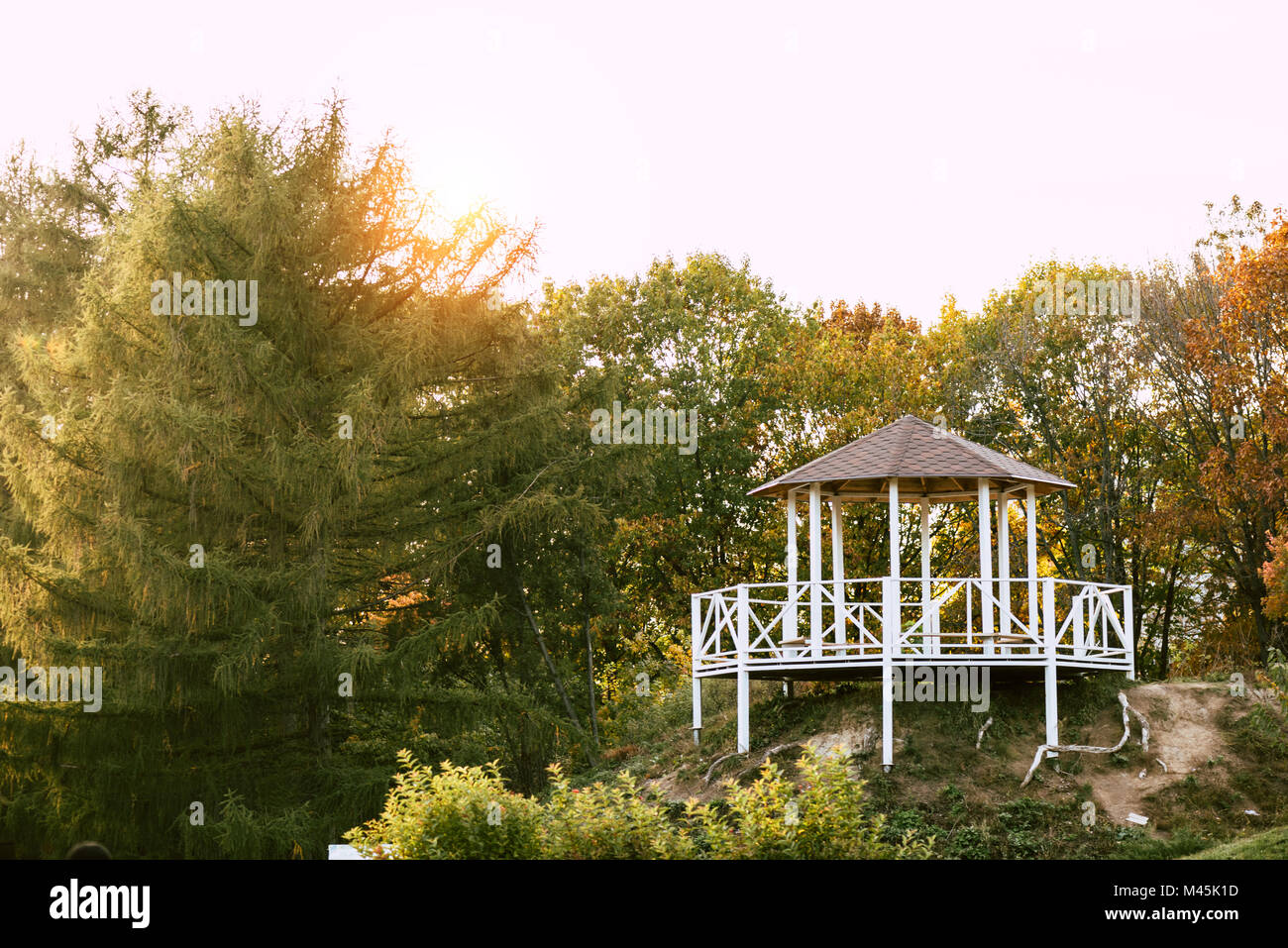 Alcove and plants hi-res stock photography and images - Alamy