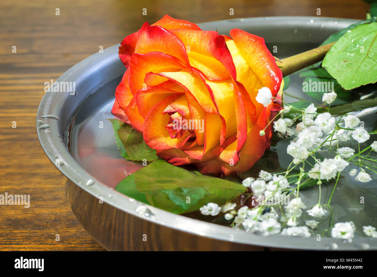 Beautiful vessel hi-res stock photography and images - Alamy