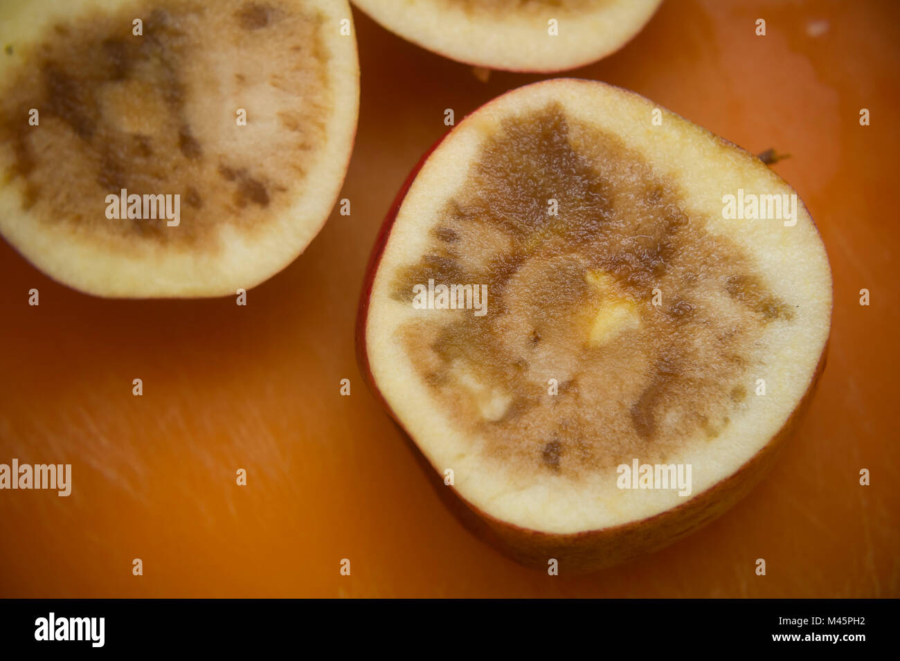 An apple cut open reveals the presence of core rot, seen in New York on ...
