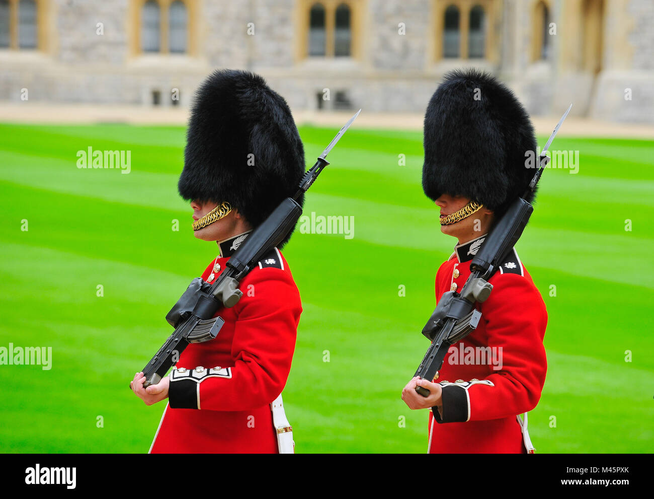Buckingham Palace Guards Guns