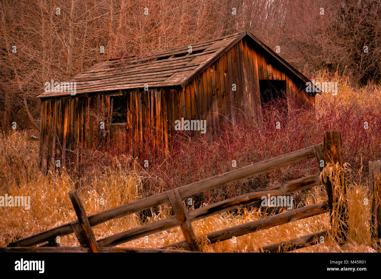 old tool shed Stock Photo - Alamy