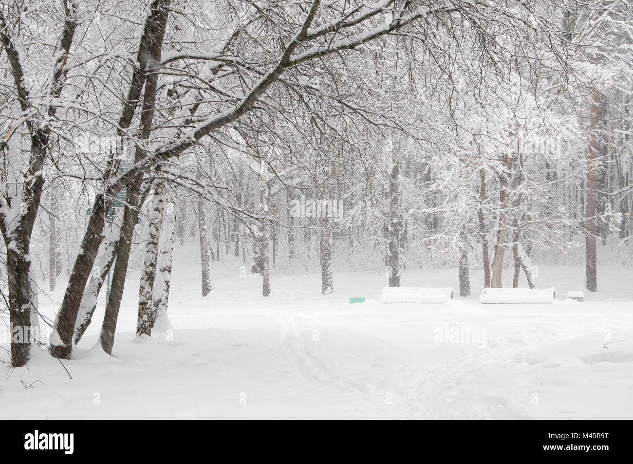Winter landscape with a park after snowstorm Stock Photo - Alamy