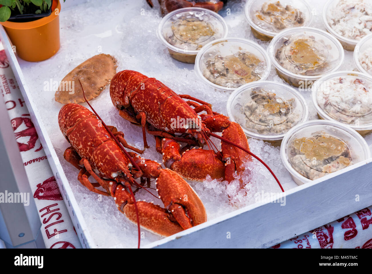 Fresh Lobster at the local market Stock Photo - Alamy