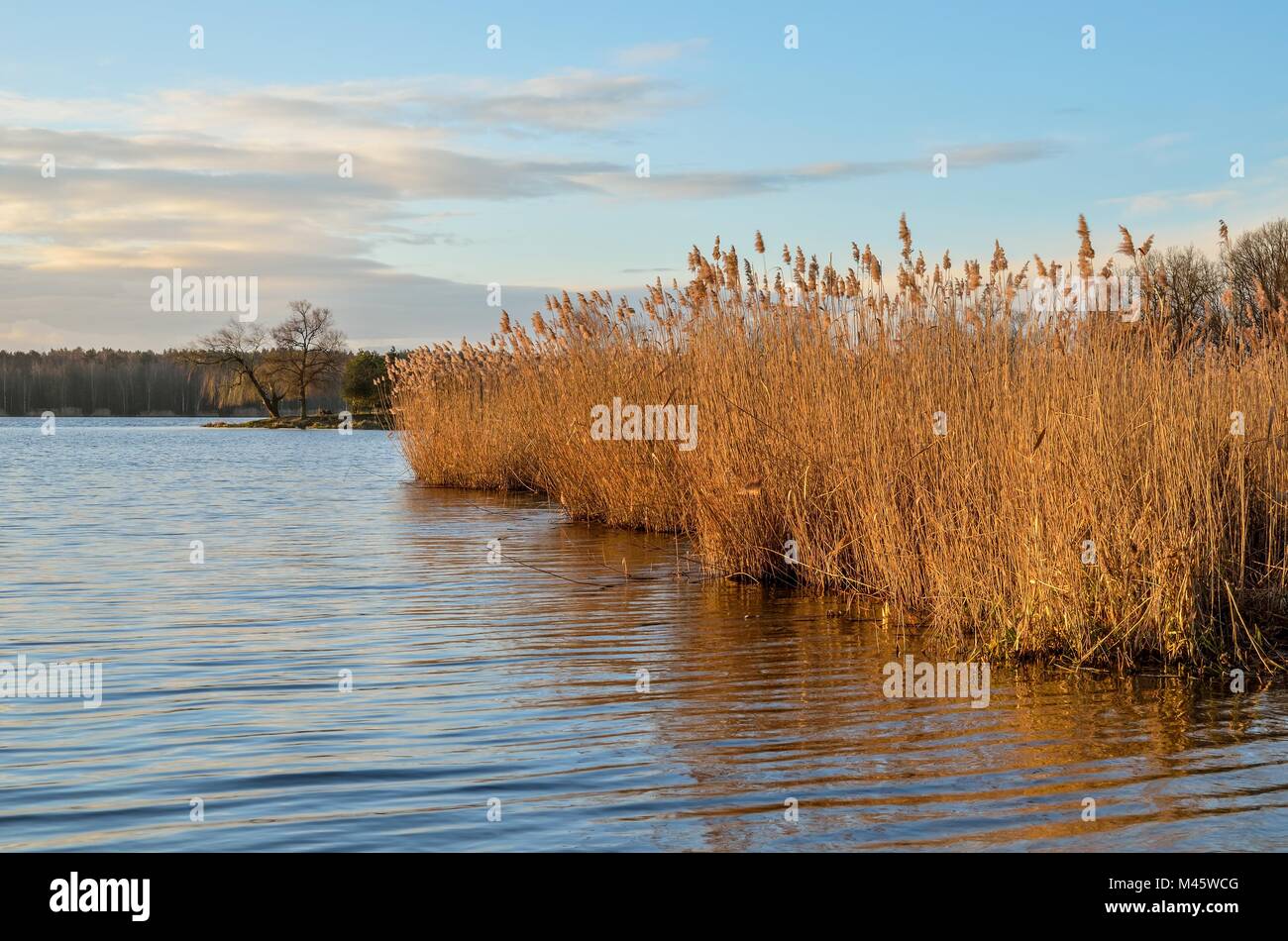 Beautiful morning lake landscape hi-res stock photography and images ...