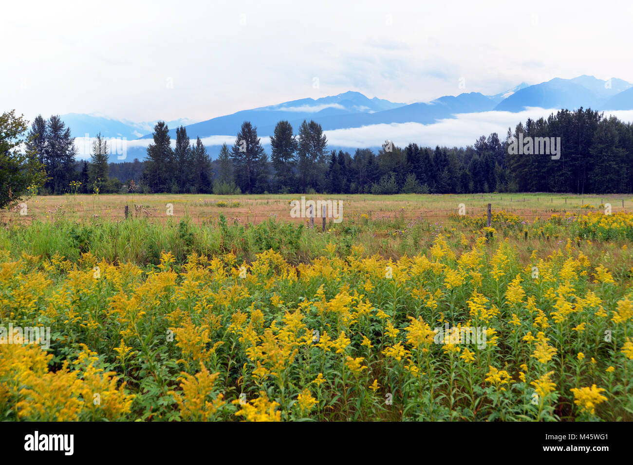 Beautiful Canadian Rockies, Fraser-Fort Stock Photo - Alamy
