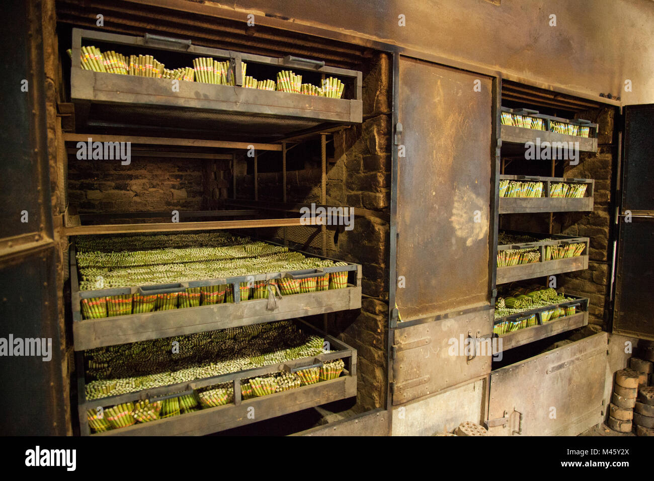 Cigar factory in Myanmar Stock Photo - Alamy