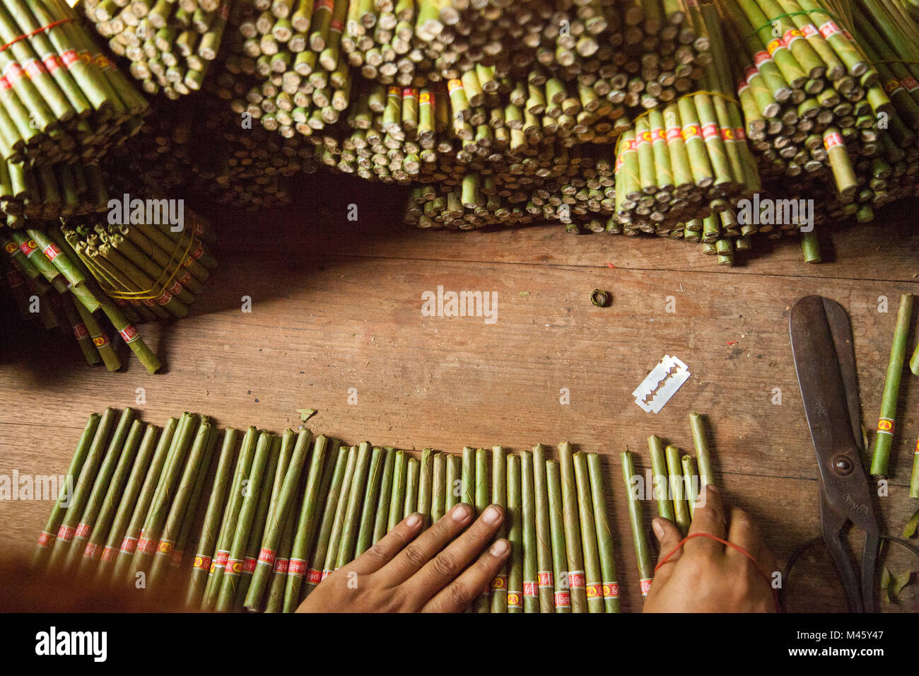 Cigar factory in Myanmar Stock Photo - Alamy