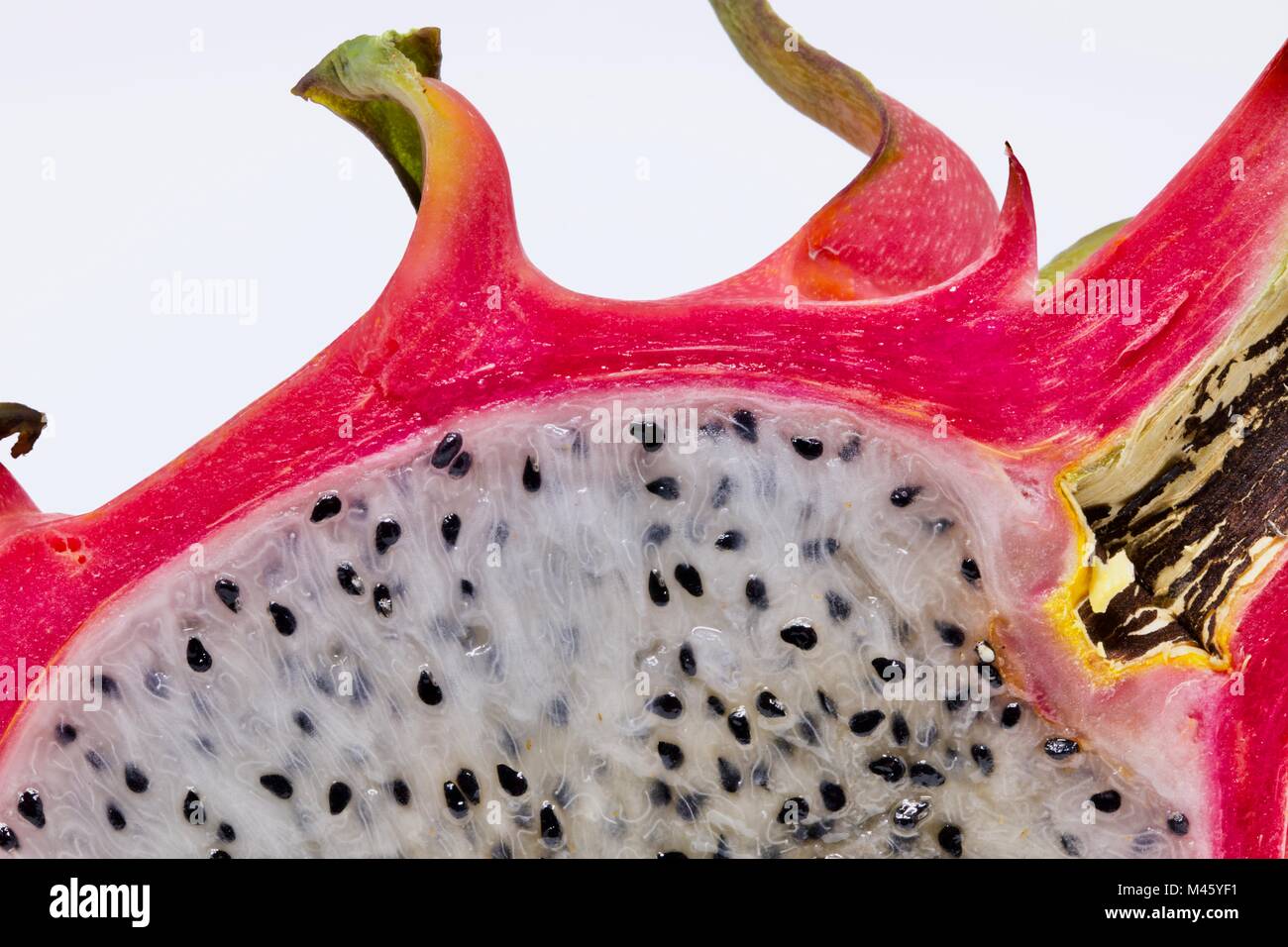 Dragon fruit (Hylocereus undatus) close up of the delicious fruit ...